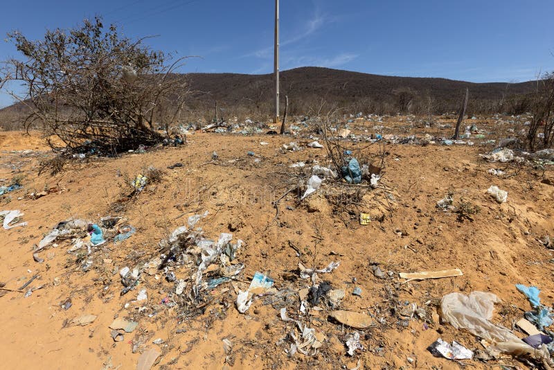 Pollution in the Caatinga of Brazil Editorial Photography - Image of ...