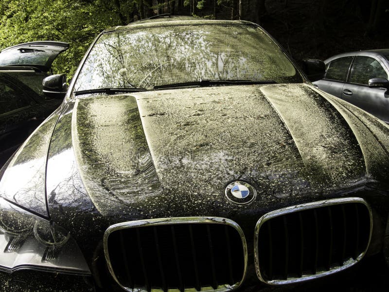 Pollution on a Car by a Thick Layer Od Pollen Editorial Photo - Image ...