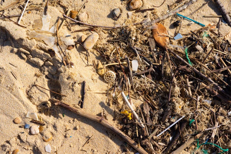 Pollution on the coast stock photo. Image of ecology - 124839498