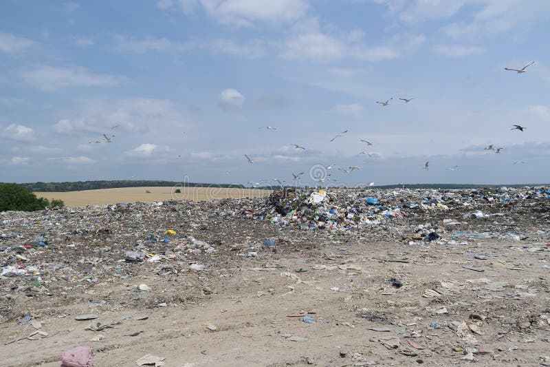 Pollution Concept. Garbage Pile in Trash Dump Stock Image - Image of ...