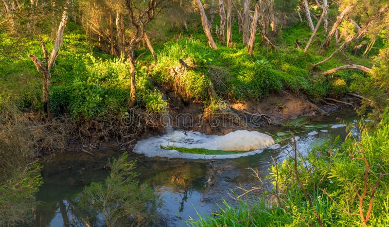 Pollution of the creek 1 stock photo. Image of float - 114607244