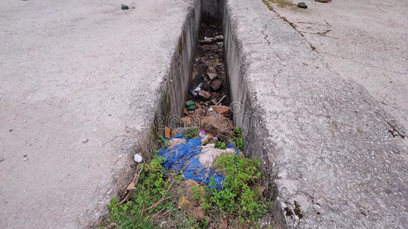 Pollution through Discarded Waste and Plastic Litter in Nature Stock ...