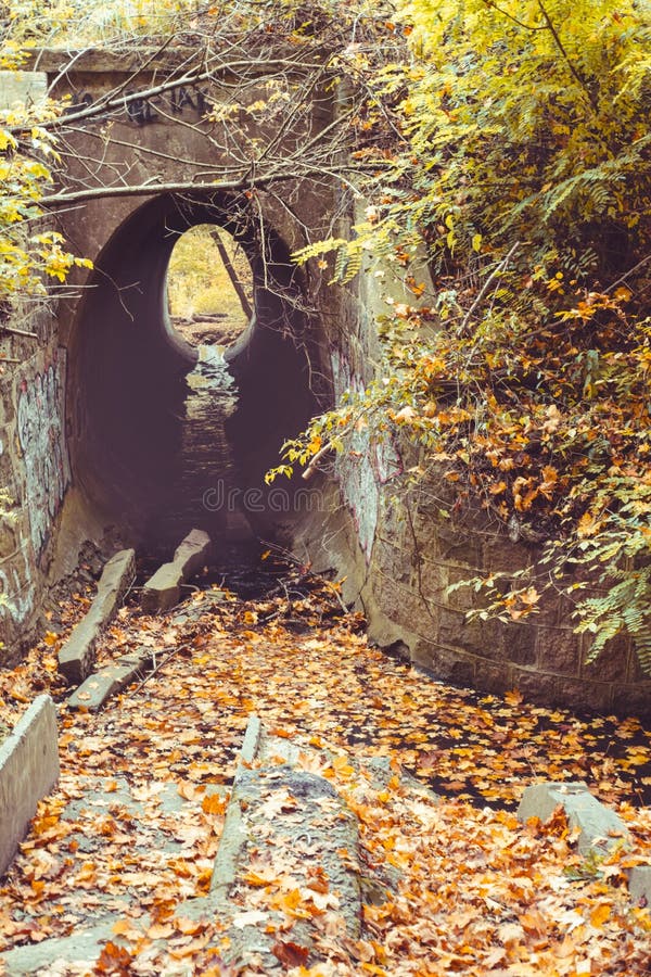 Pollution of the Environment or Pollution of Natural Water Bodies with ...