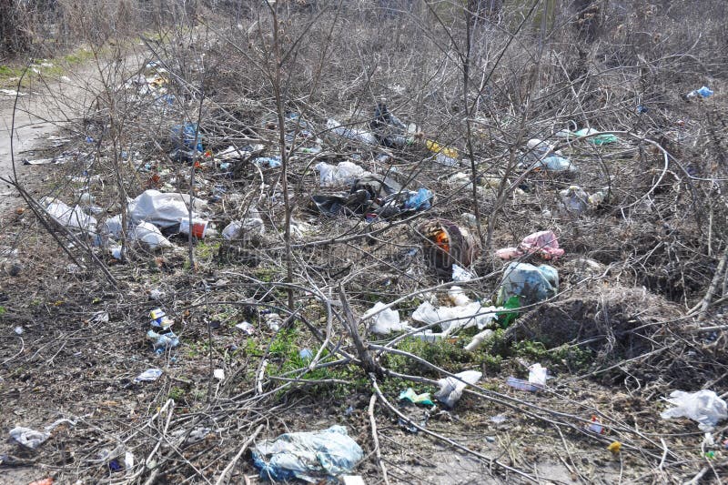 Pollution of the Environment with Plastic Garbage in the Forests and ...