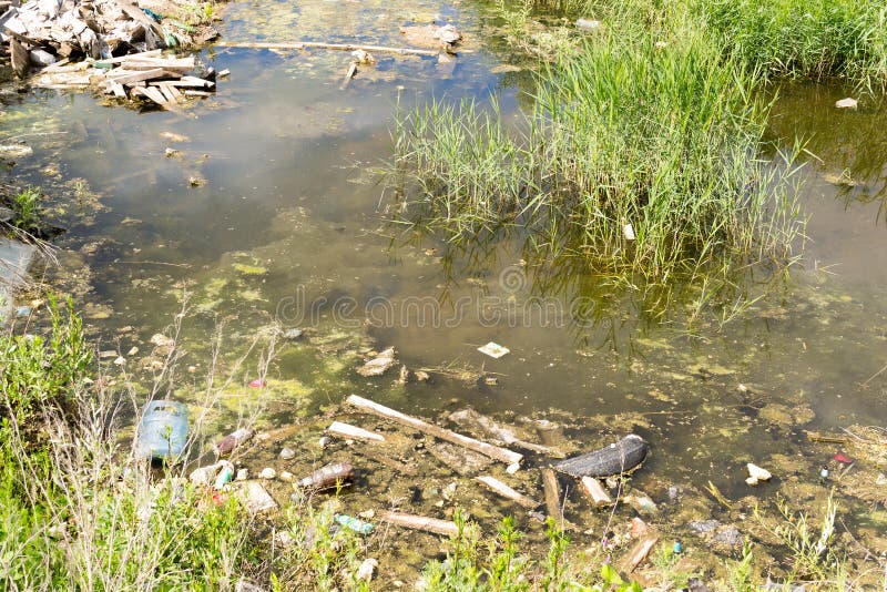 Pollution Filled Dirty Water Pond Stock Image - Image of contamination ...