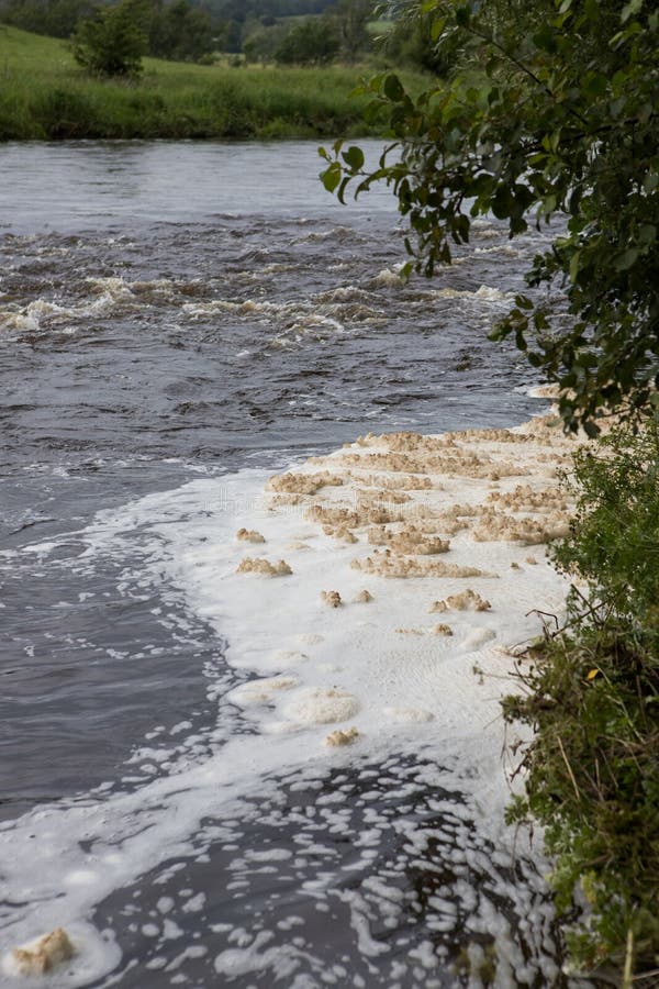 White Foam Pollution in a River Contaminating the Environment Stock ...