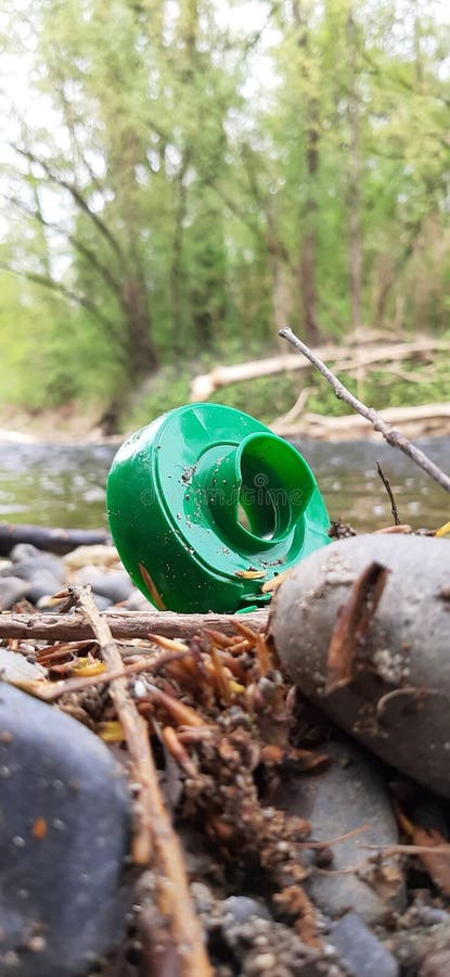 Pollution of nature stock photo. Image of invertebrate - 179864480