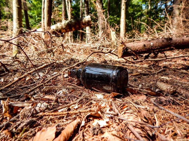 Pollution in nature stock photo. Image of soil, plant - 253603012