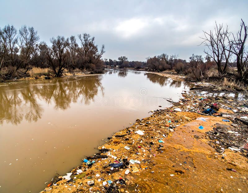 Pollution in Nature. a Riverbank Full of Trash, with Tree Reflections ...