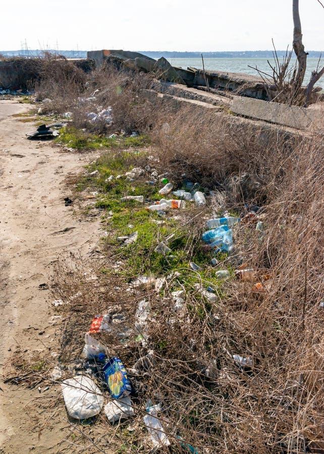 Pollution with Plastic Waste and Microplastics on the Shore of the ...