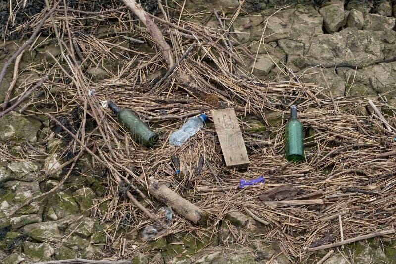 Pollution with Plastics and Glass Being Washed Up from the Scottish ...