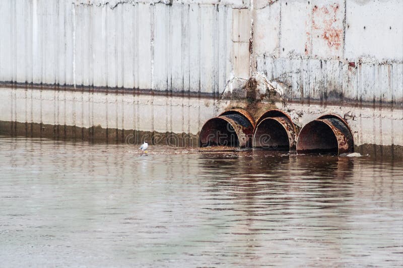 Pollution of the Reservoir, Environmental Problems Stock Image - Image ...