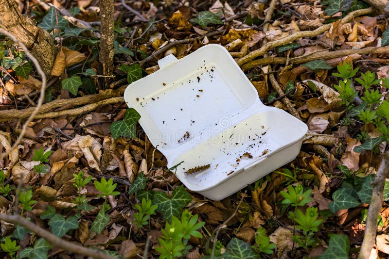 Pollution from Throwing Away a Plastic Takeaway Container Stock Image ...