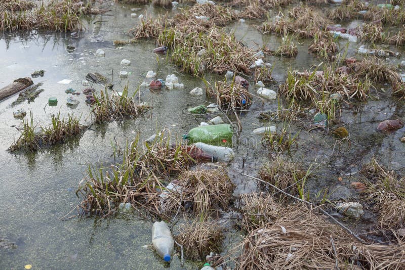 Pollution Of Water Bodies. Ecological Problem Stock Image - Image of ...