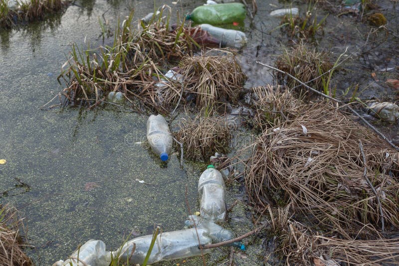 Pollution of Water Bodies. Ecological Problem Stock Photo - Image of ...