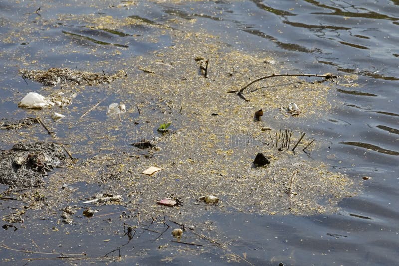 Water pollution stock photo. Image of disaster, ecological - 117329372
