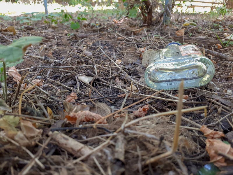 Debris and Broken Glass in the Dry Grass. Stock Image - Image of dumpnn ...