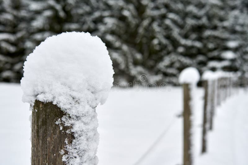 Polo De Madera Nevado En Nieve Foto de archivo - Imagen de travieso ...