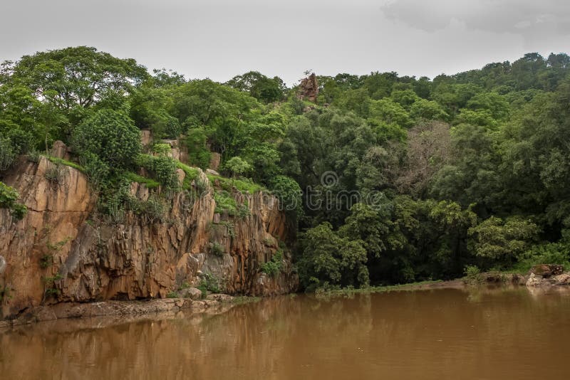 Polo forest hill view stock image. Image of mountains - 80271811