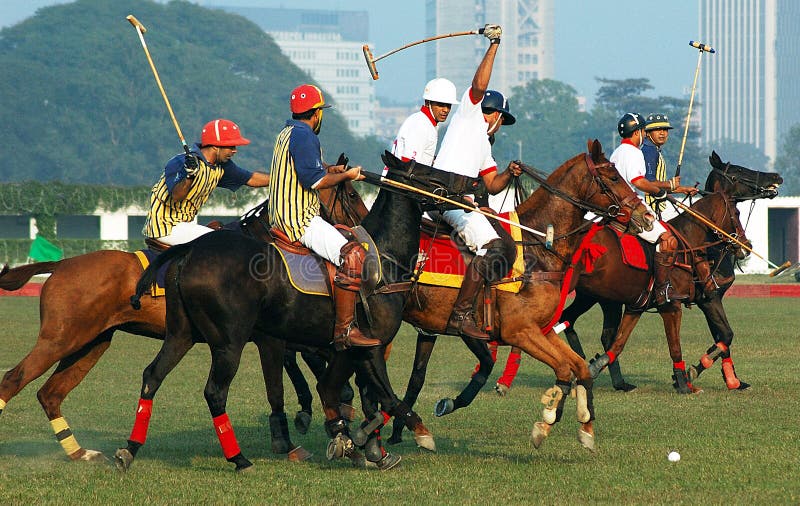 Polo Game of Kolkata-India editorial photography. Image of india - 10164727