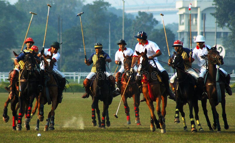Polo Game of Kolkata-India editorial photography. Image of motion ...