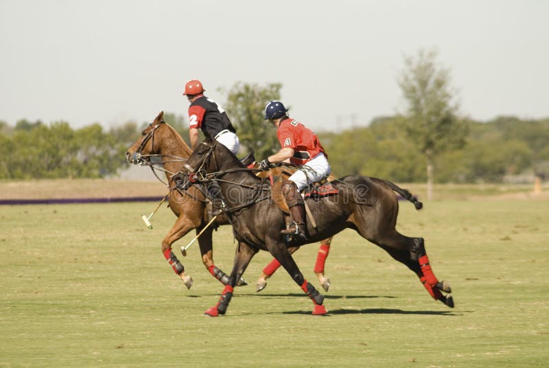 Polo Match stock photo. Image of game, equestrian, helmet - 1435594