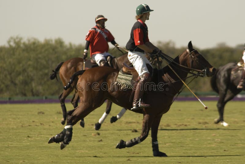 Polo Match stock photo. Image of game, equestrian, helmet - 1435594