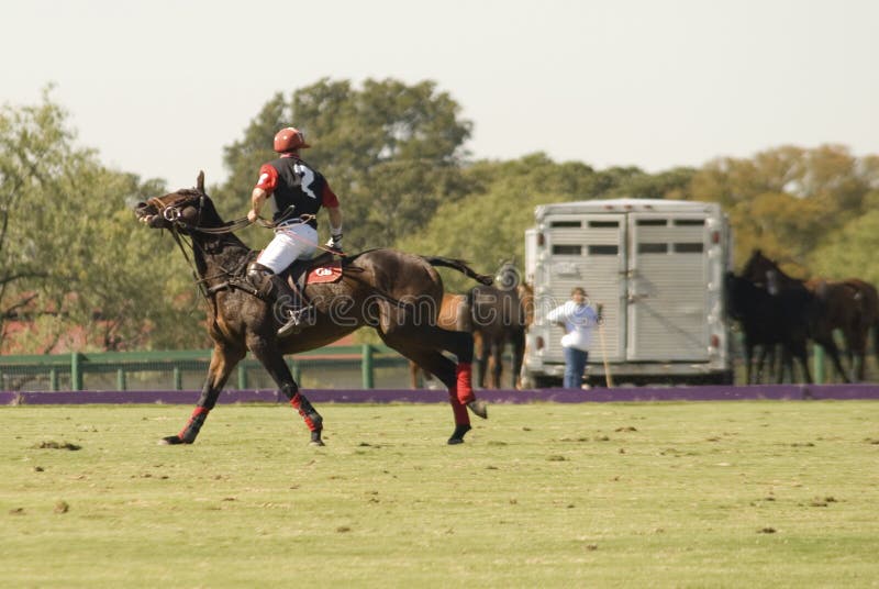 Polo Match stock image. Image of equestrian, mallets, equine - 1435631