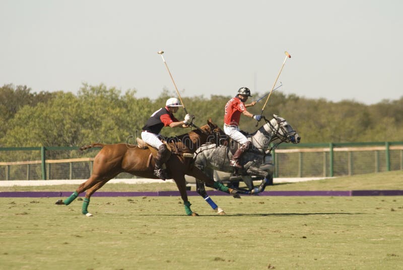 Polo stock image. Image of speed, match, play, equine - 3135965