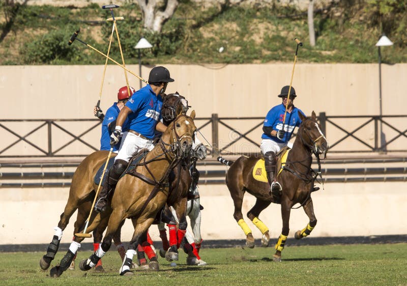 Polo Match redactionele stock afbeelding. Image of dieren - 46046164