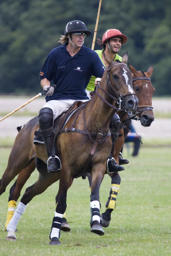 Polo match editorial stock image. Image of competitive - 5665789