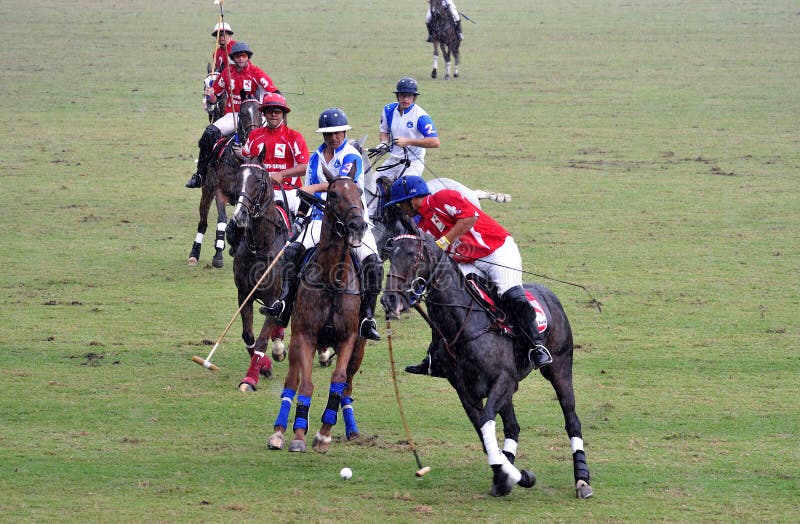 Polo Match editorial stock image. Image of goals, horseback - 6155354