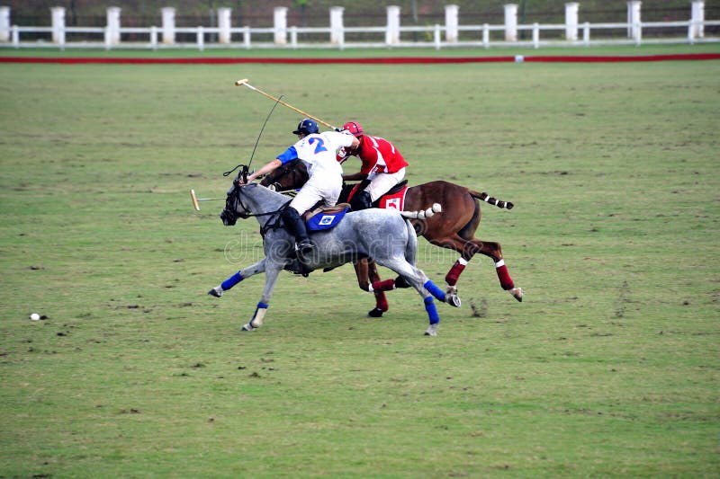 Polo Match editorial stock photo. Image of mounted, kneepads - 6155668