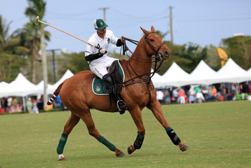 Polo Match redactionele fotografie. Image of februari - 67553022
