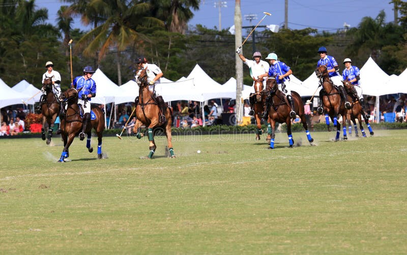 Polo Match redaktionell arkivfoto. Bild av gräsänder - 67552803