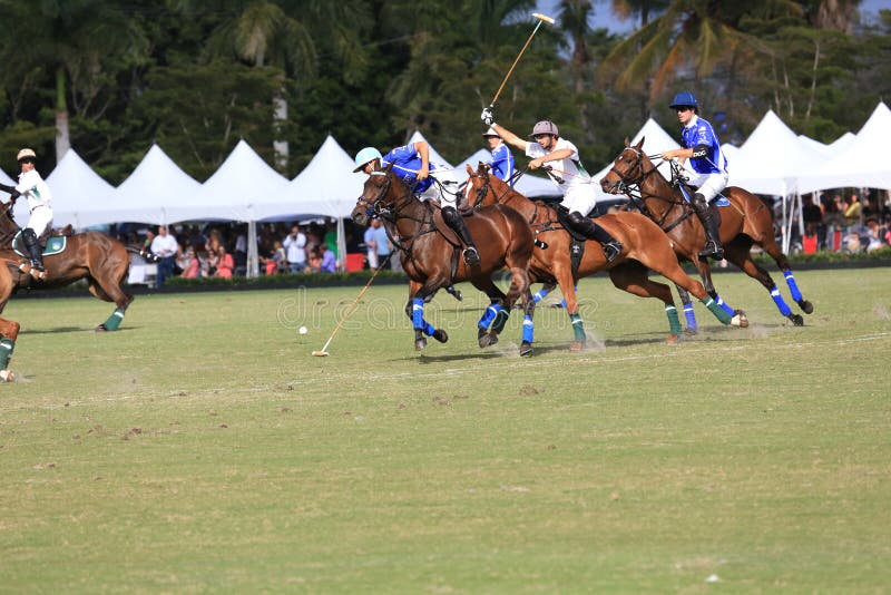 Polo Match redactionele fotografie. Image of februari - 67553022