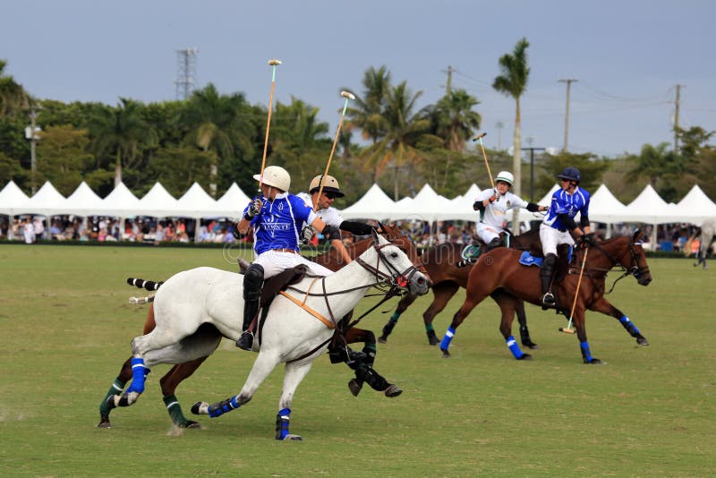 Polo Match image stock éditorial. Image du mieux, maillet - 67553084