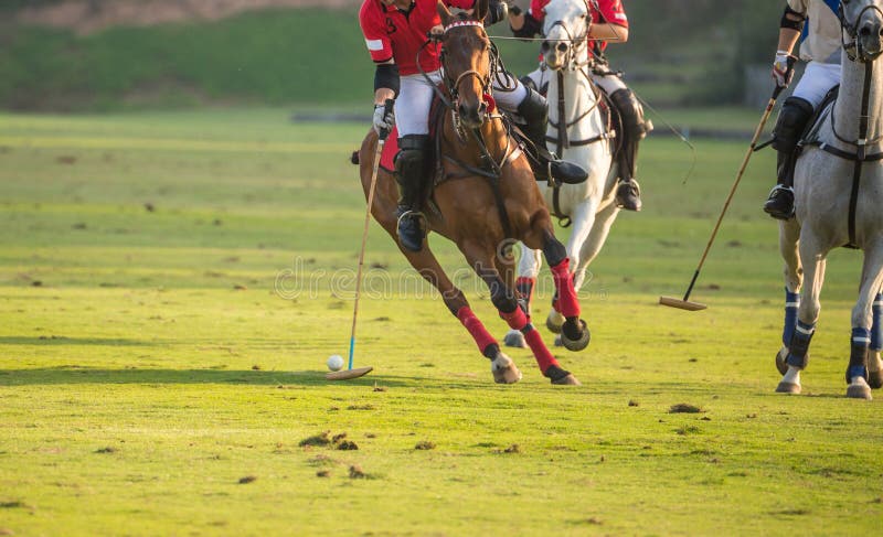 The Polo Player Hit Polo Ball Stock Image - Image of playing, compete ...