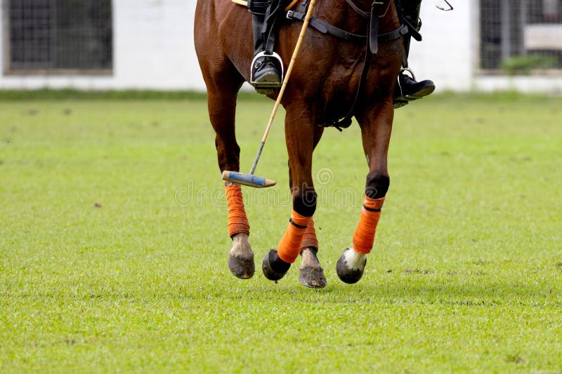Polo player stock photo. Image of action, jockey, dirt - 364428570