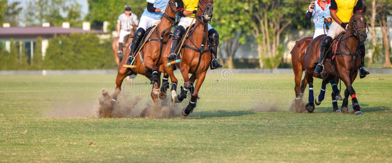 Polo player in tournament. stock photo. Image of horse - 115216028