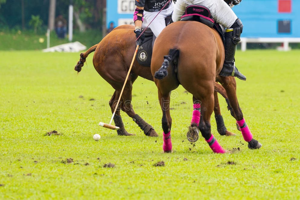 Polo Player is Using Polo Mallet Hit Polo Balls Stock Image - Image of ...