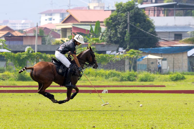 Polo player editorial photo. Image of horseback, jockey - 364428776
