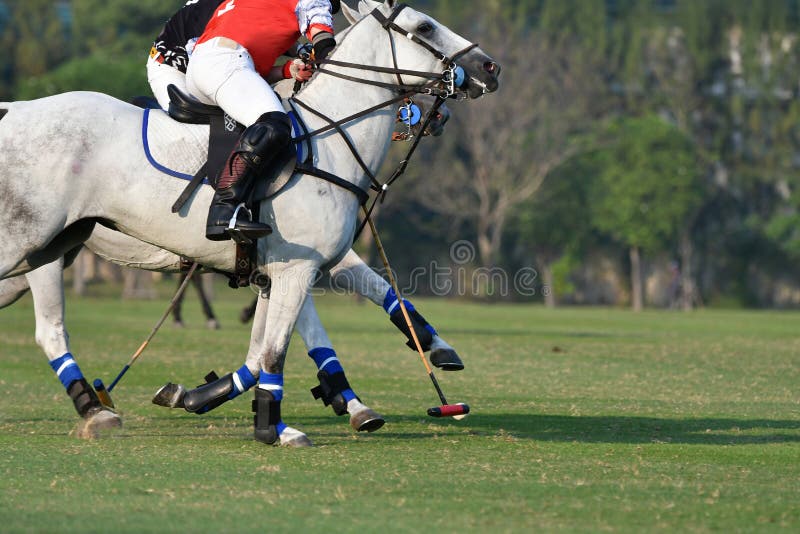 Polo Players are Competing in the Field Stock Photo - Image of horseman ...
