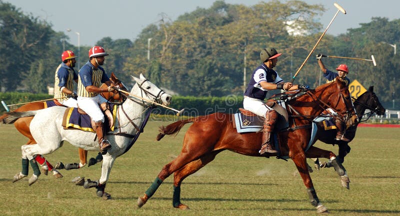 Polo Game of Kolkata-India editorial photo. Image of concentration ...