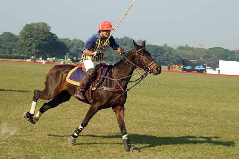 Polo Playing in Kolkata-India Editorial Photography - Image of domestic ...