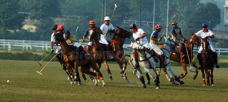 Polo Playing in Kolkata-India Editorial Photography - Image of domestic ...