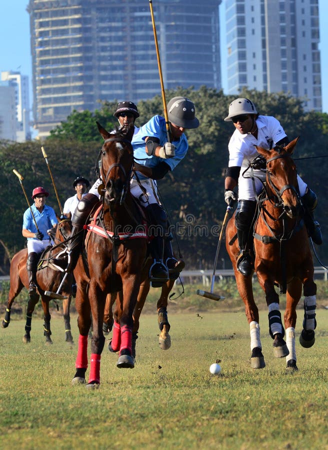 Polo Playing in Kolkata-India Editorial Photography - Image of domestic ...