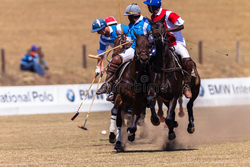 Polo Riders Horses Play Action Fotografia Editoriale - Immagine di ...
