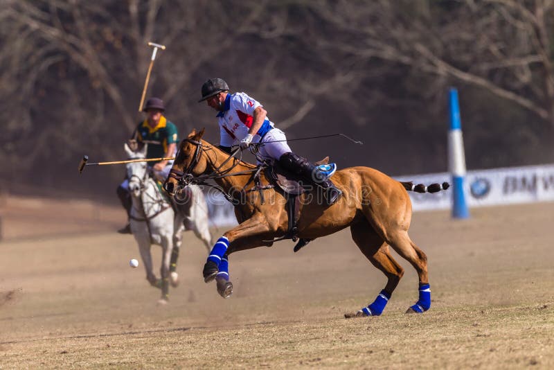 Polo Riders Horses Play Action Redactionele Stock Afbeelding - Image of ...
