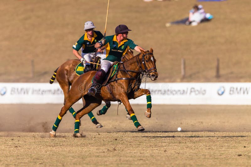 Polo Riders Horses Play Action Imagem Editorial - Imagem de esportes ...
